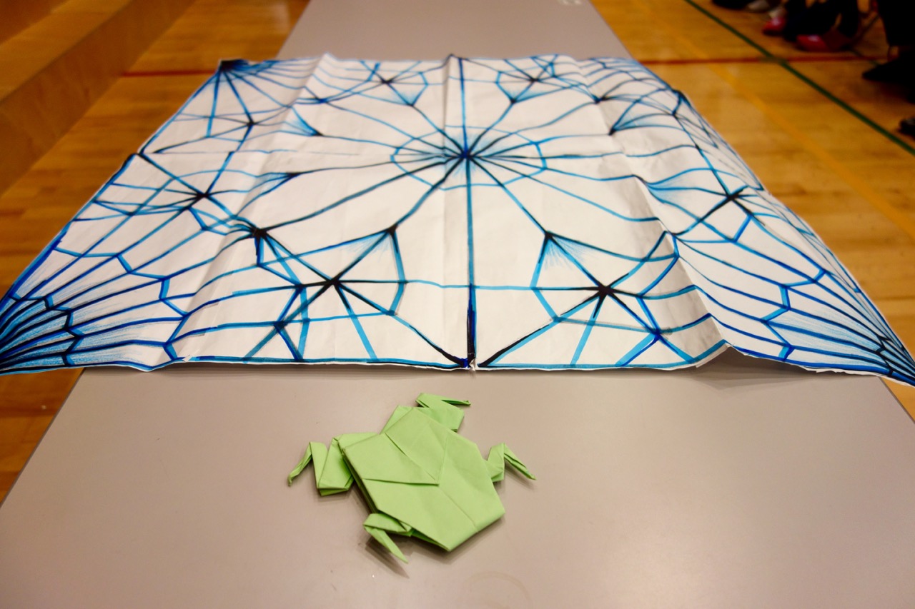 Anatomy of an origami frog | Matthew Thibeault